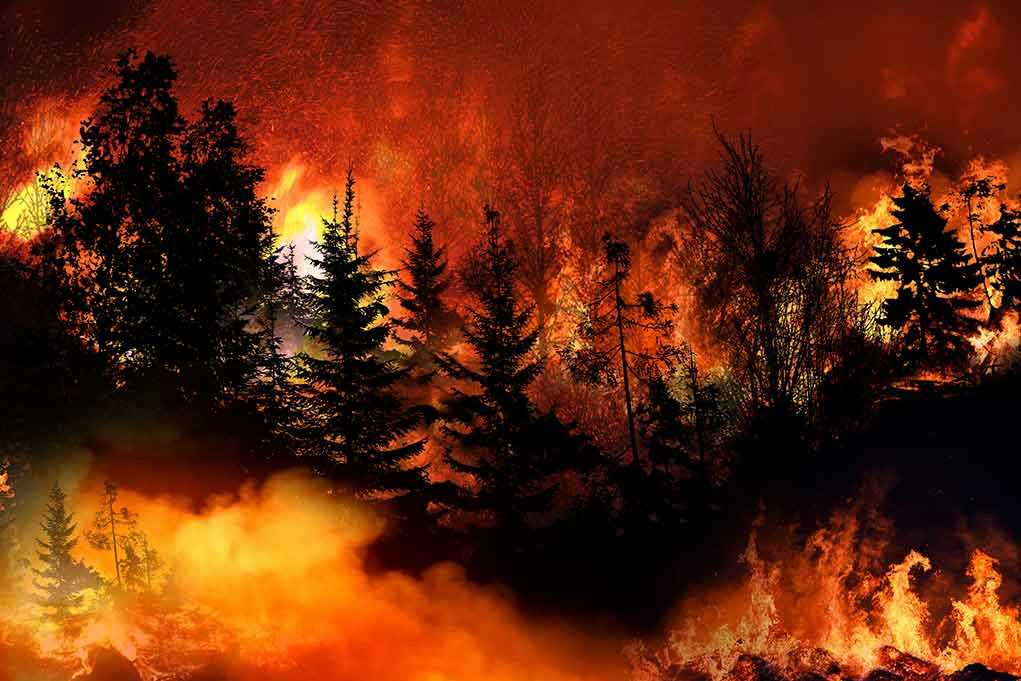 Officials Caught MASSIVELY Undercounting Fire Deaths | Daily 360